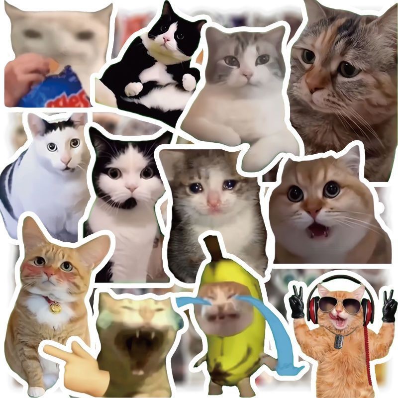 Adesivos De meme De Gato , Fofos , Engraçados , Bobos , Gatos , emojis ...