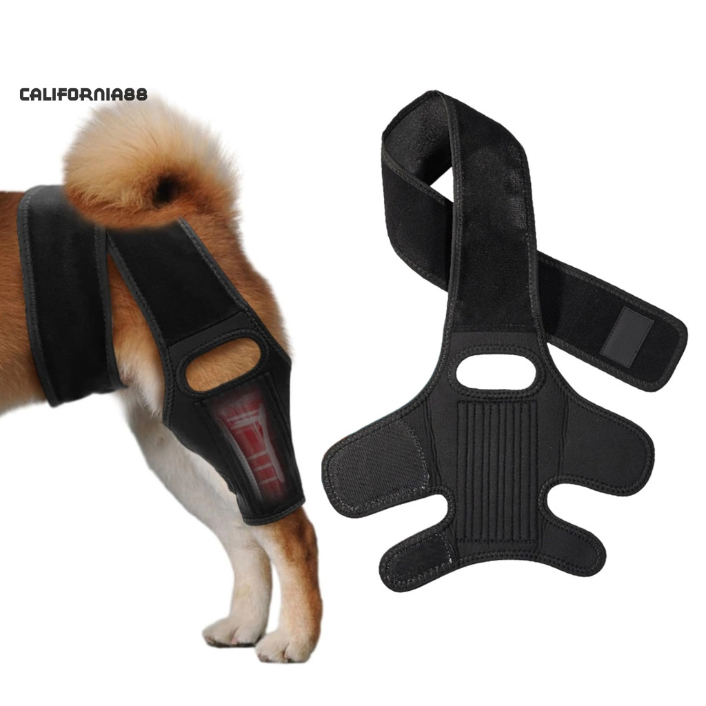 Dog Leg Brace for Arthritis Tendonitis Support Adjustable Acl for Hind ...