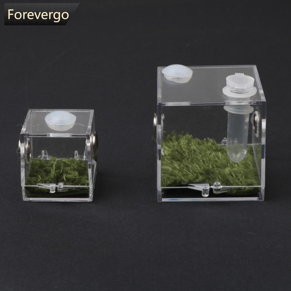 FOREVERGO 1 Conjunto De Insetos Respirável Terrário Formiga Fazenda ...