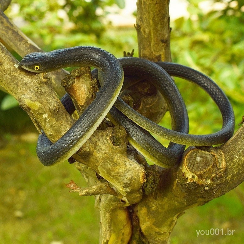 80cm falso cobra cola macia simulado cobra brinquedo | Shopee Brasil