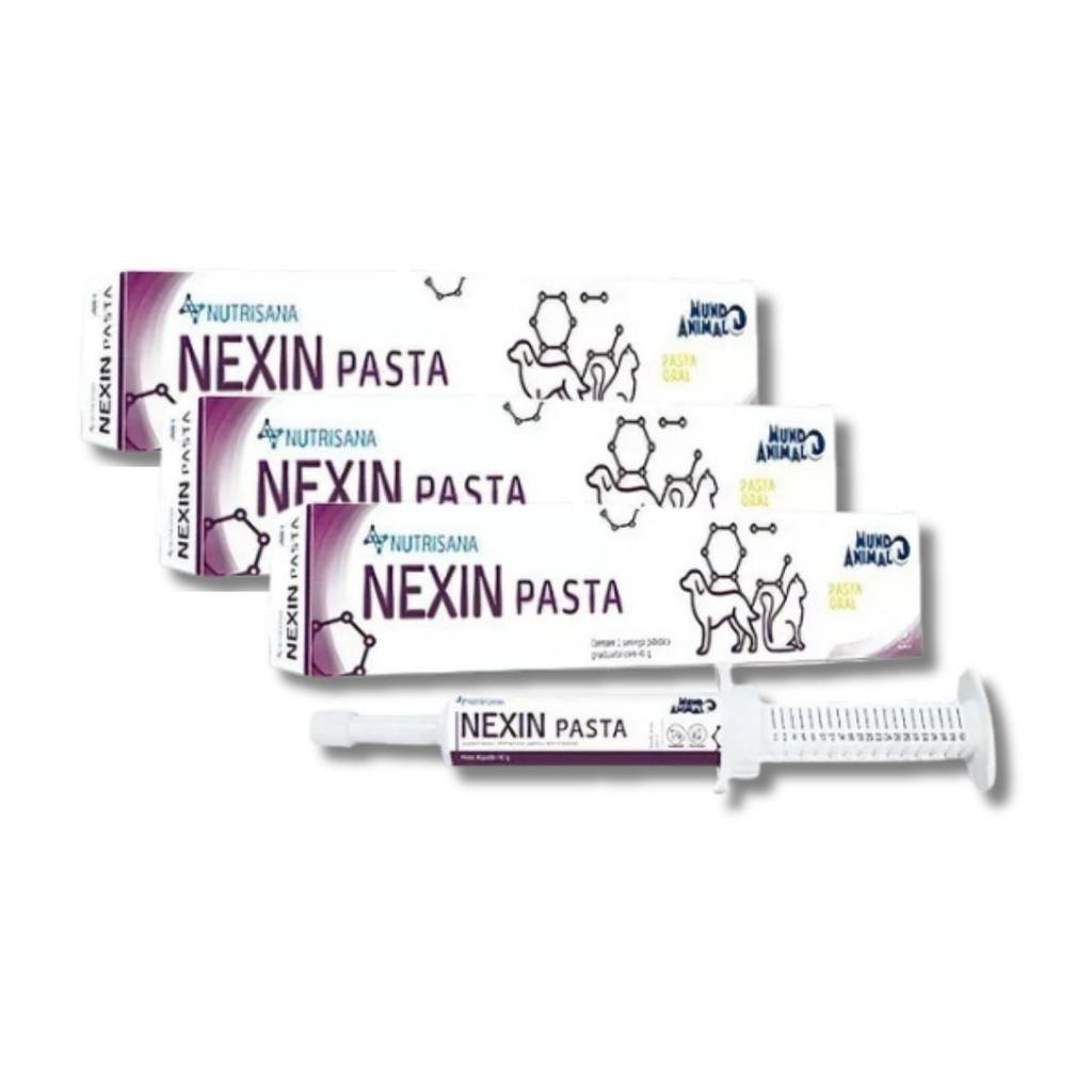 Kit 3 Unid Suplemento Pet Nexin Nutrisana Seringa 40g | Shopee Brasil