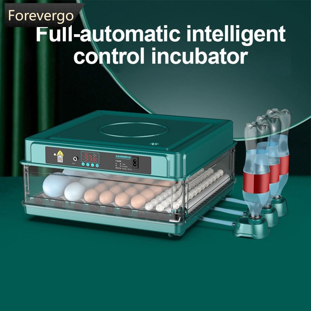 FOREVERGO 1Pc Incubadora De Ovos Totalmente Automática Torneamento ...