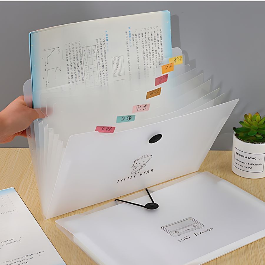 Pasta Sanfonada Organizadora de Documentos Com 12 Divisórias Tamanho A4 ...