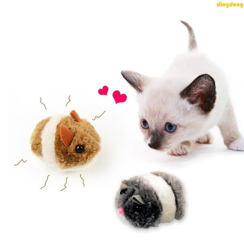 Pet111 Para Rato Gato Brinquedo Interativo De Perseguindo Brinquedos De ...