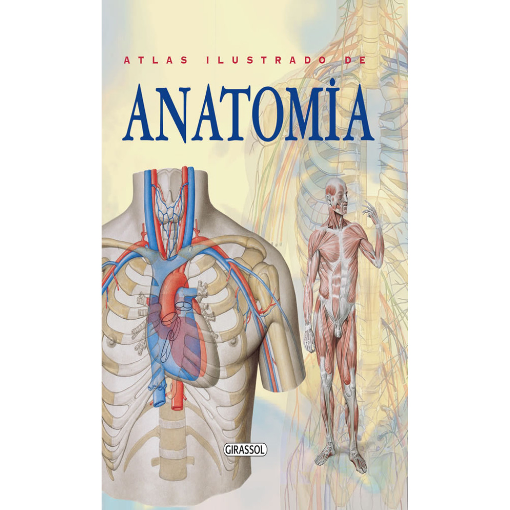 ATLAS ILUSTRADO DE ANATOMIA | Shopee Brasil