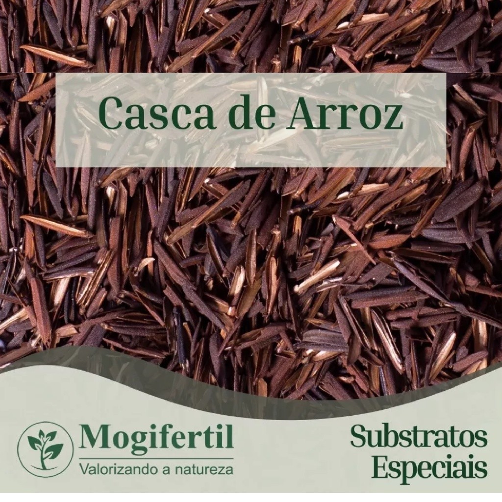 CASCA DE ARROZ CABONIZADA SC 100 LTS | Shopee Brasil
