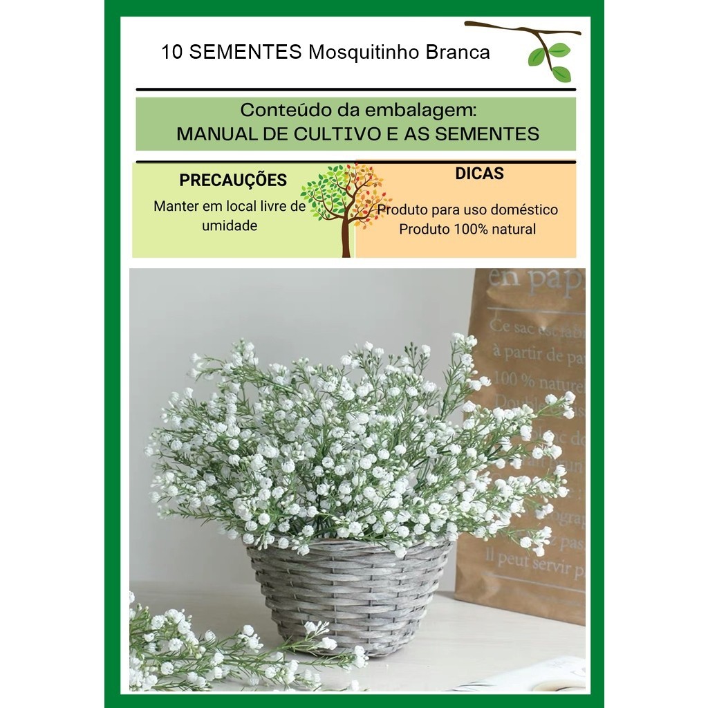 10 Sementes de Flor Gypsofila Mosquitinho Branca | Shopee Brasil