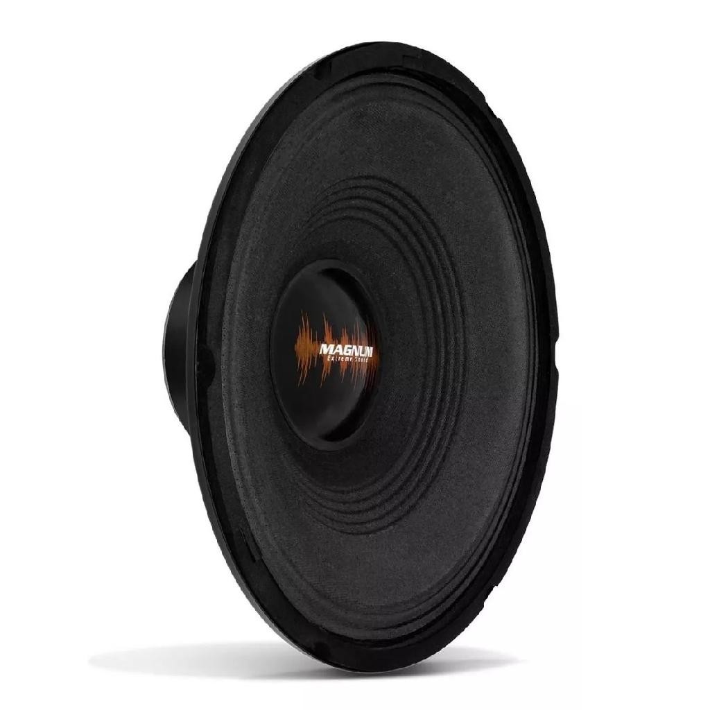 Medio Grave Magnum 10 Polegadas 250w Rms Line Array 4 Ohms | Shopee Brasil