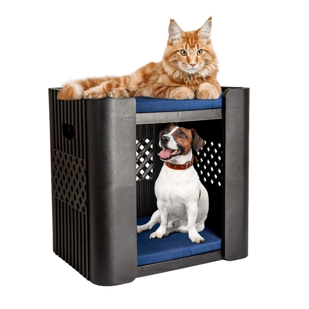 Pet Stand Jel Plast | Shopee Brasil