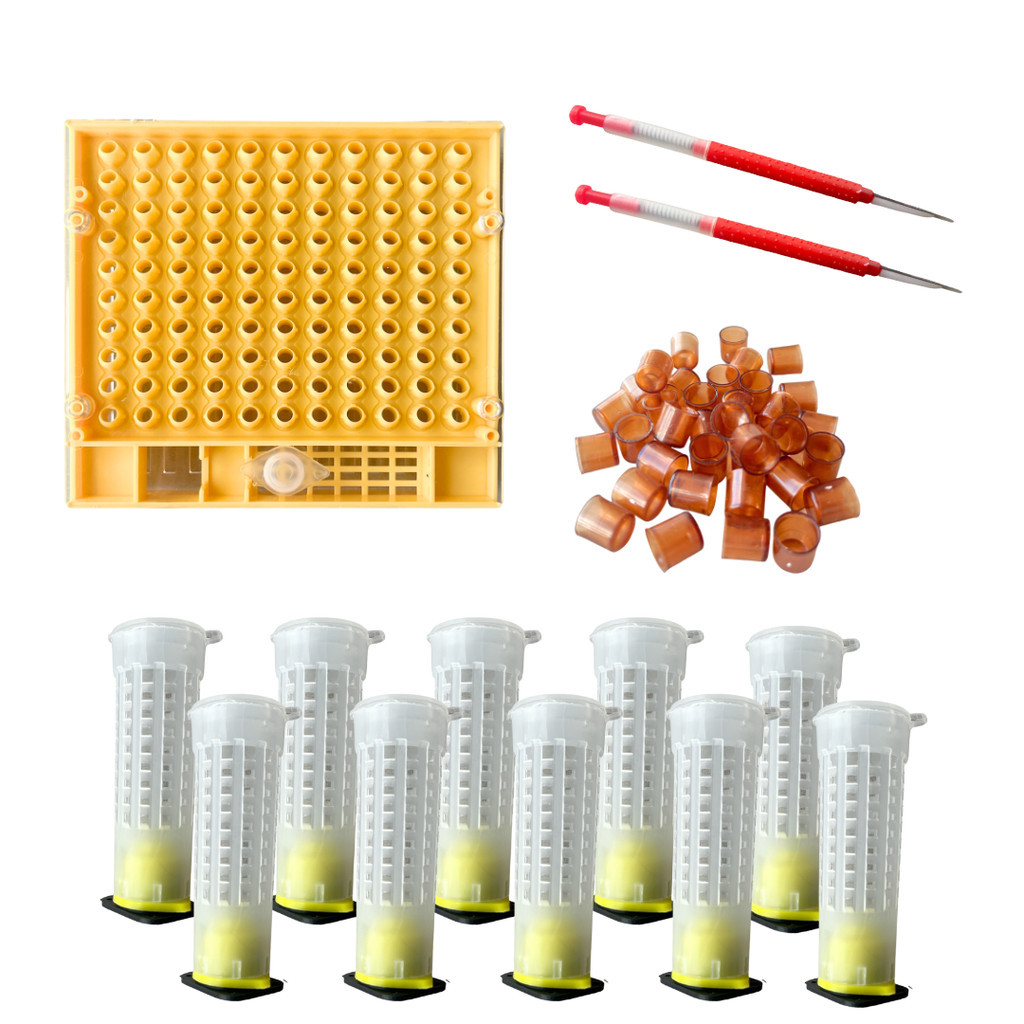 KIT NICOT 4 PEÇAS PARA PRODUÇÃO DE ABELHA RAINHA APICULTURA | Shopee Brasil