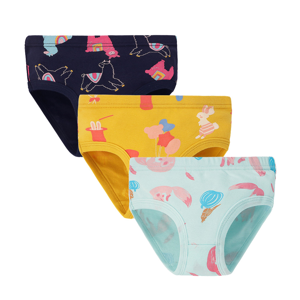 3 Peças De Roupa Íntima Infantil Menina 100 % Algodão | Shopee Brasil