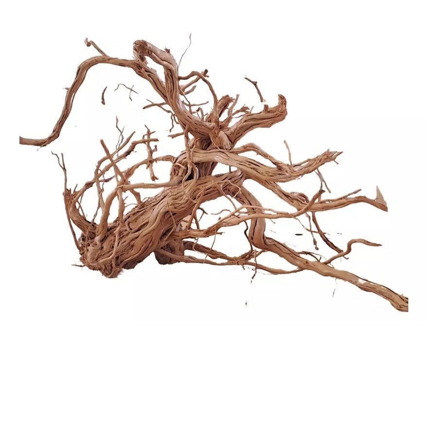 Raiz Natural Soma Spider Root Mix 1 Kg | Shopee Brasil