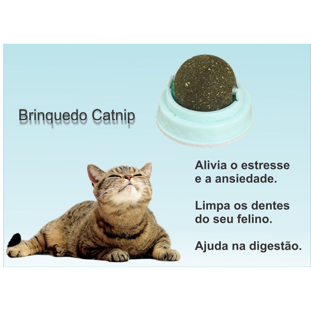 Bolinha de Catnip Para Gatos Brinquedo Anti Stress Com Amor Para Pets ...