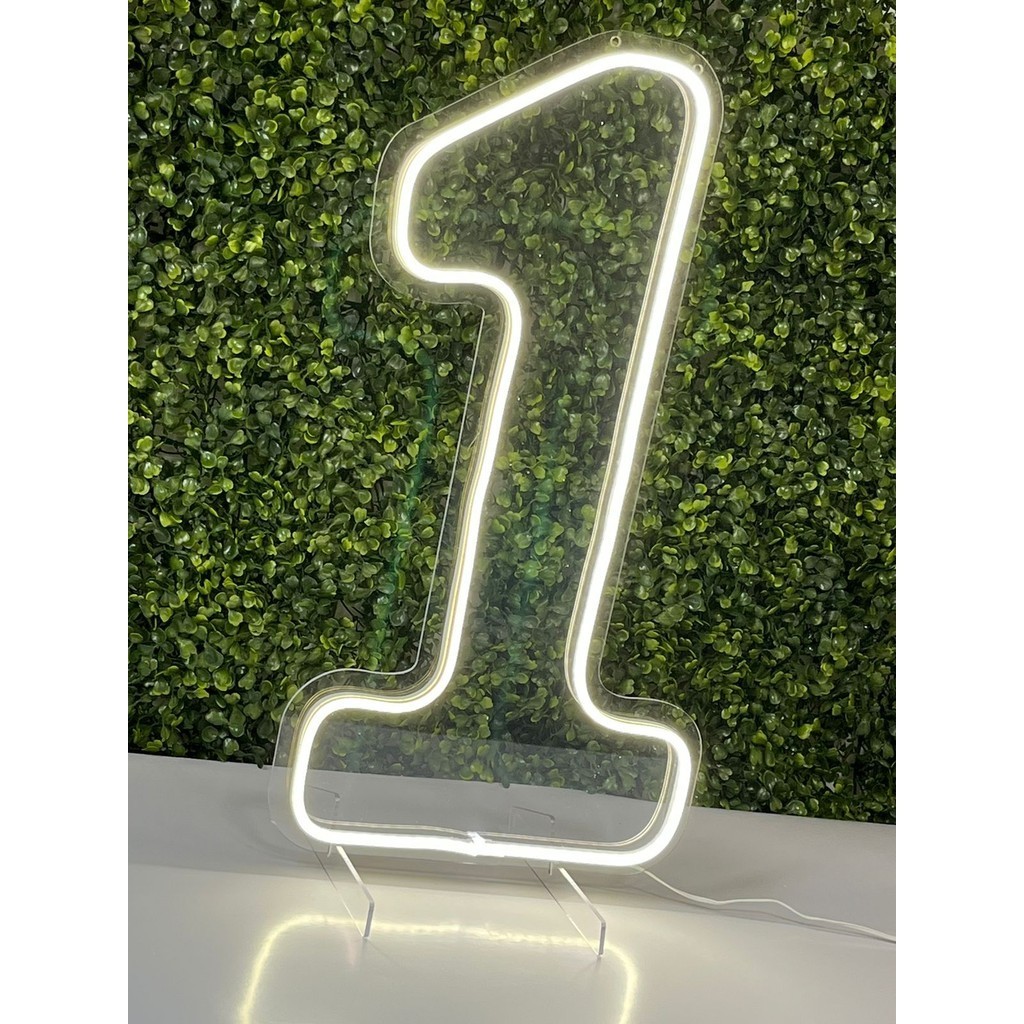 Painel Led Neon Numeros 0 a 9 P/Decoração Festa Branco Frio | Shopee Brasil