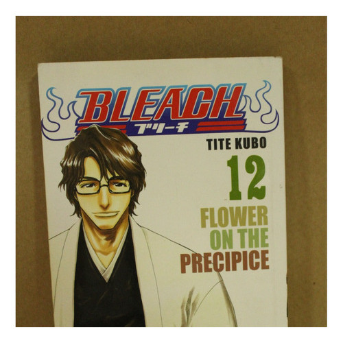 Mangá Bleach - Volume 12 - Flower On The Precipice Por Tite Kubo ...