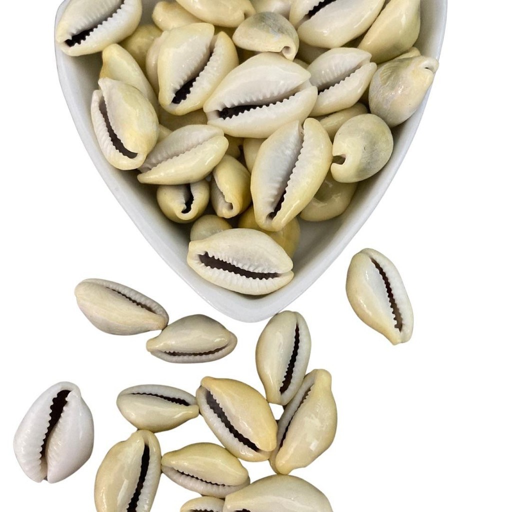 Búzios Gema Natural Fechado Pacote Com 100g | Shopee Brasil