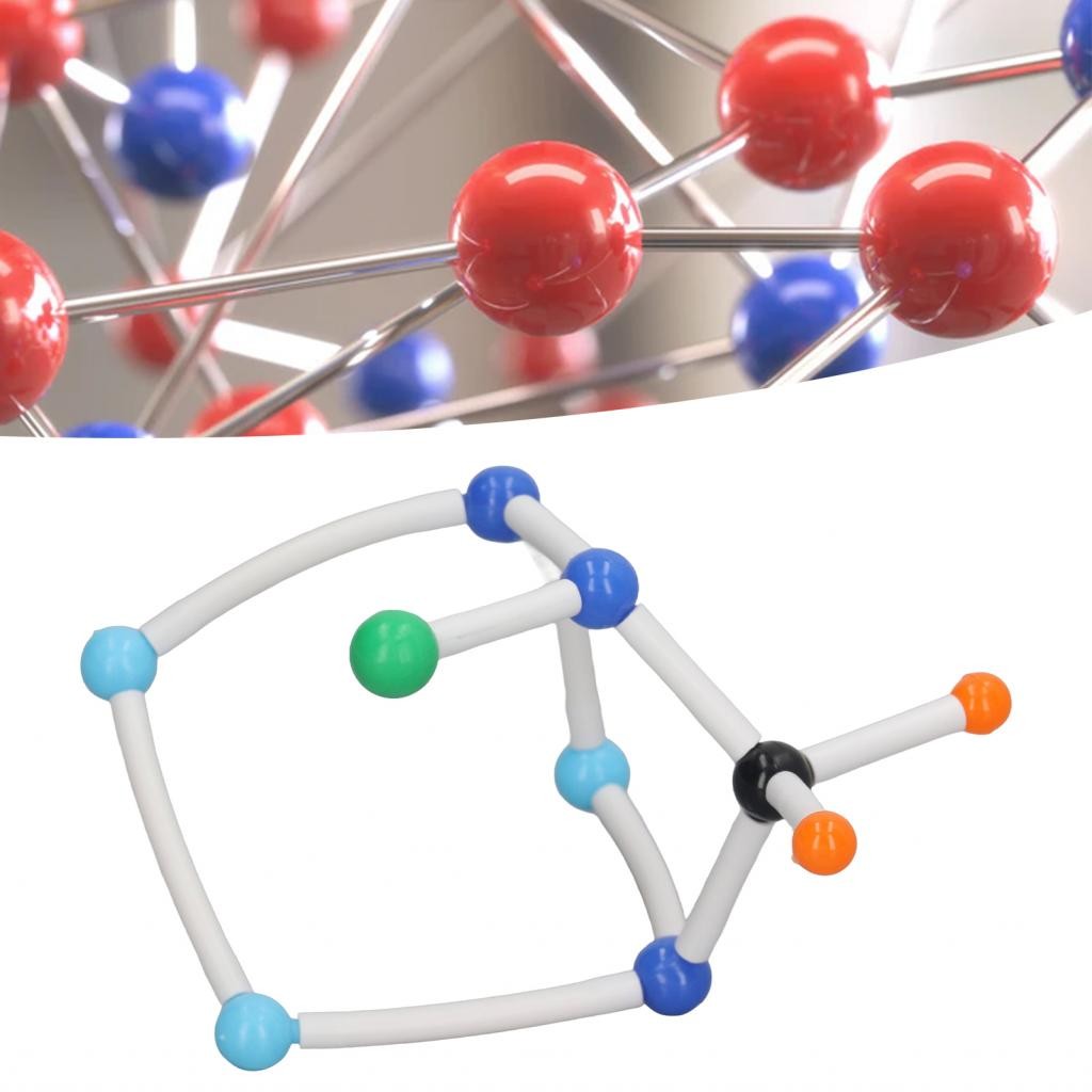 Chemistry Molecular Model Kit Colorful 3D Educational Structures for ...