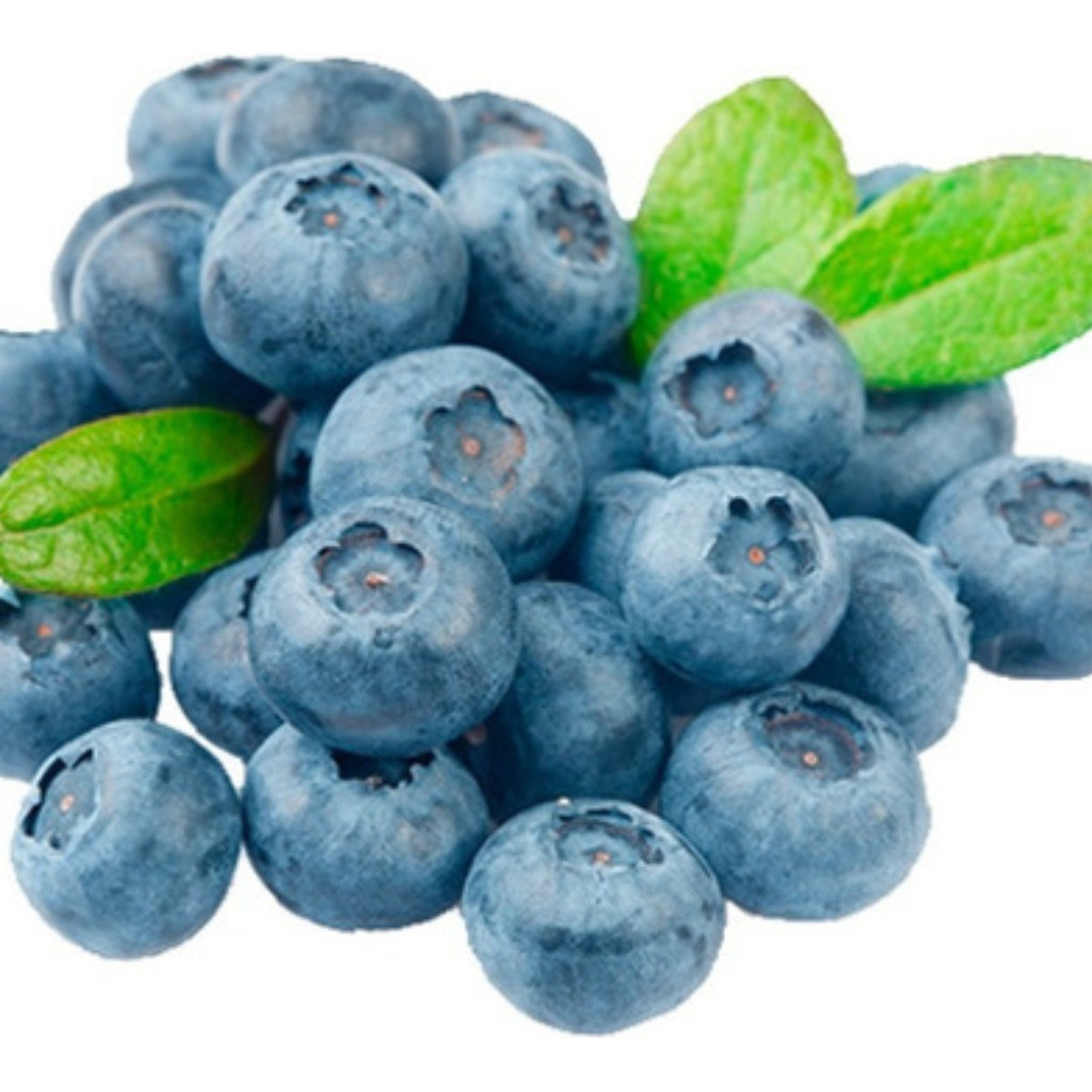 1000 Sementes Muda De Mirtilo Blueberry | Shopee Brasil