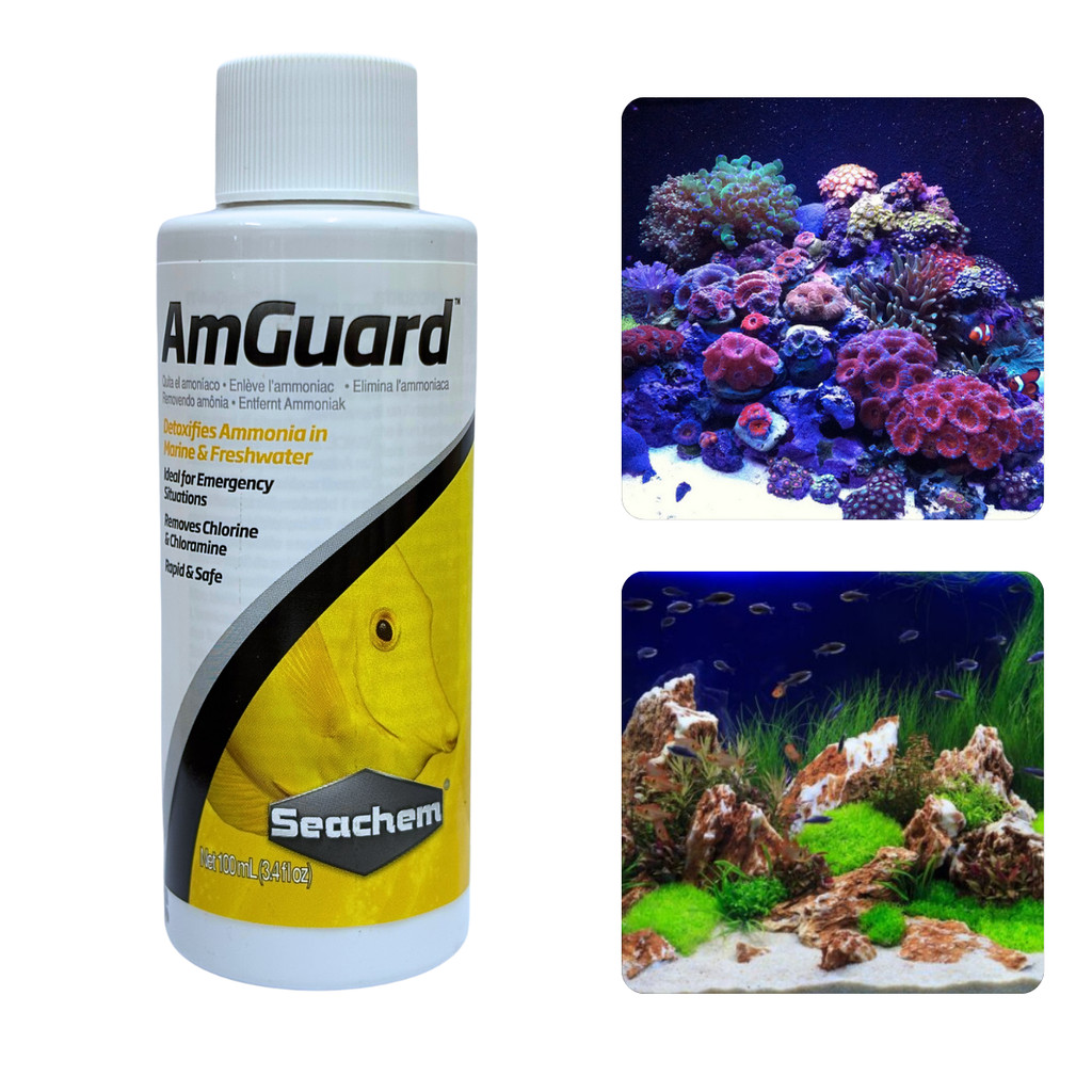 Seachem Amguard 100ml Remove Amonia E Cloro Do Aquário Água | Shopee Brasil