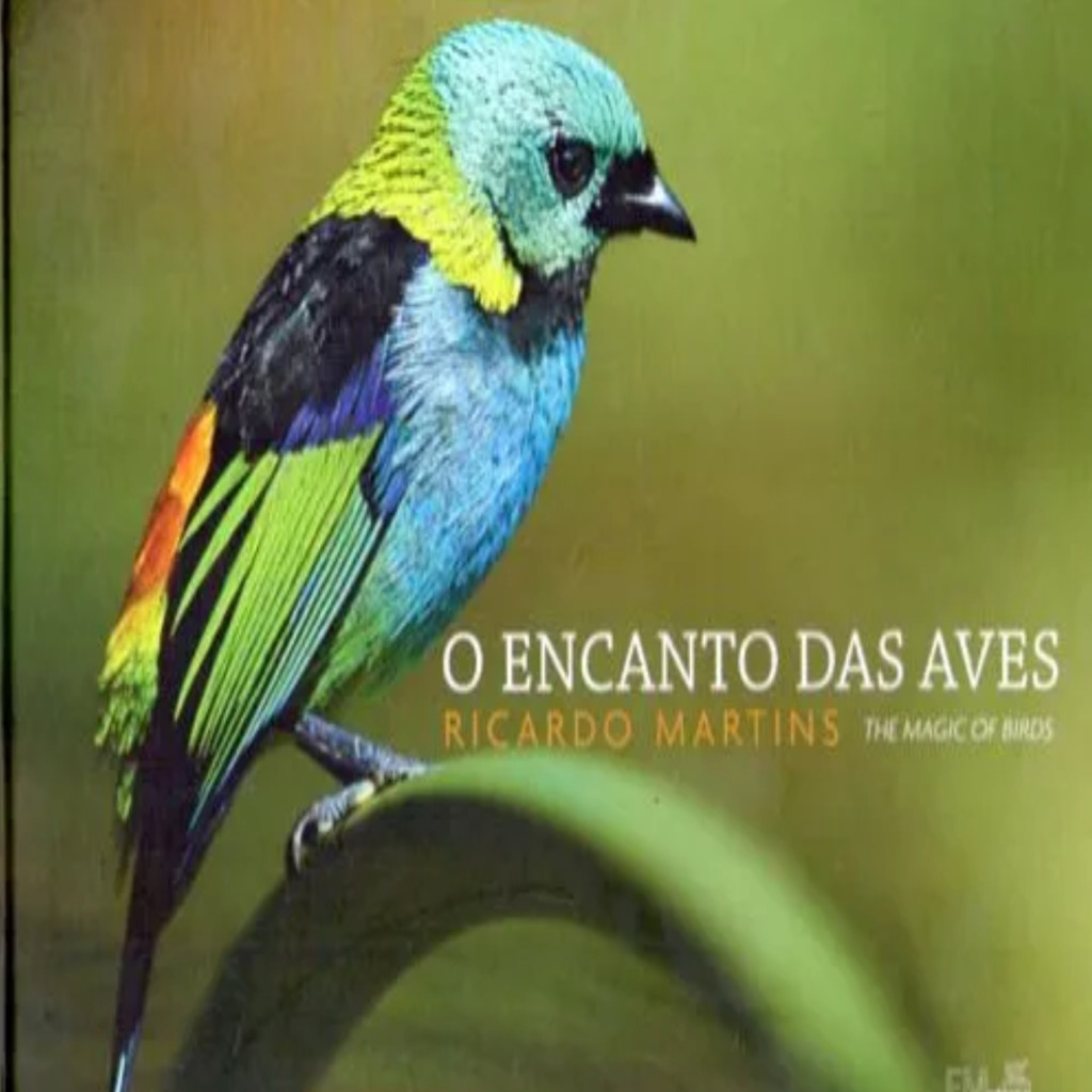 O Encanto das Aves (usado) autor Ricardo Martins | Shopee Brasil