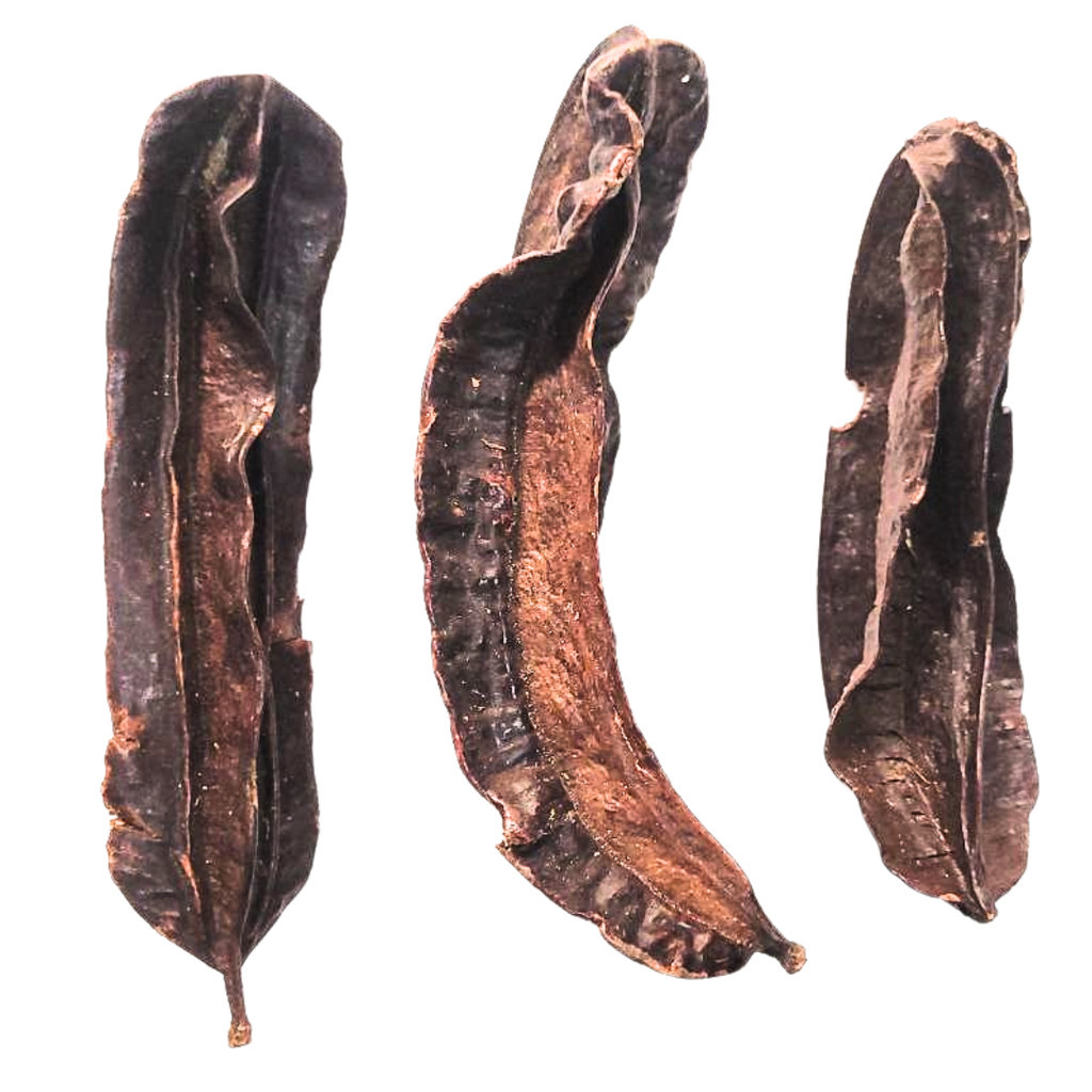 3x Fava De Aridan Africana Original Umbanda E Candomblé | Shopee Brasil