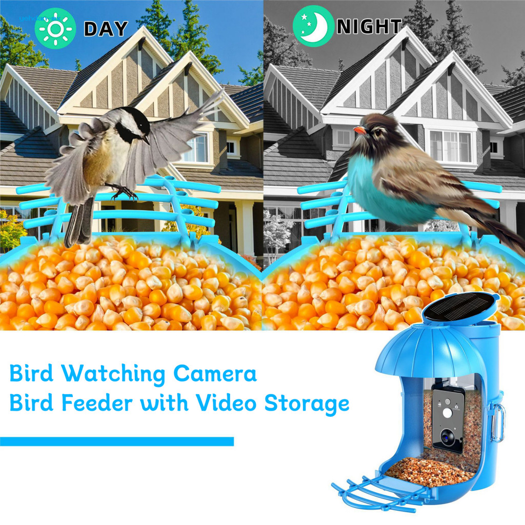 Motion Detection Bird Camera Watching Feeder with Night Vision for ...