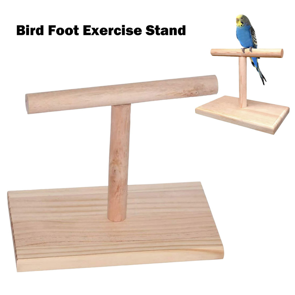 Parrot Training Perch Bird Foot Exercise Stand Wooden for Parakeets ...