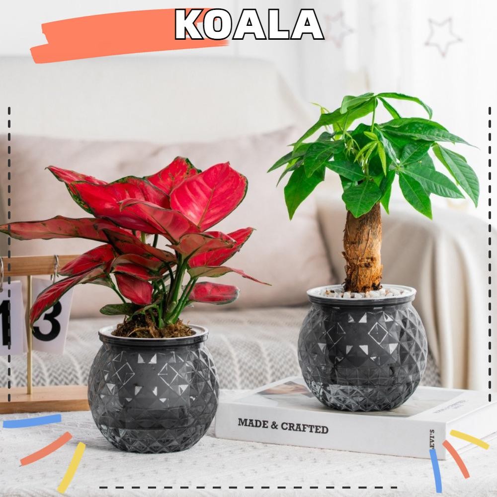 Vaso De Plantas Hidropônicas KOALL , Flores De Plástico Com Rega ...