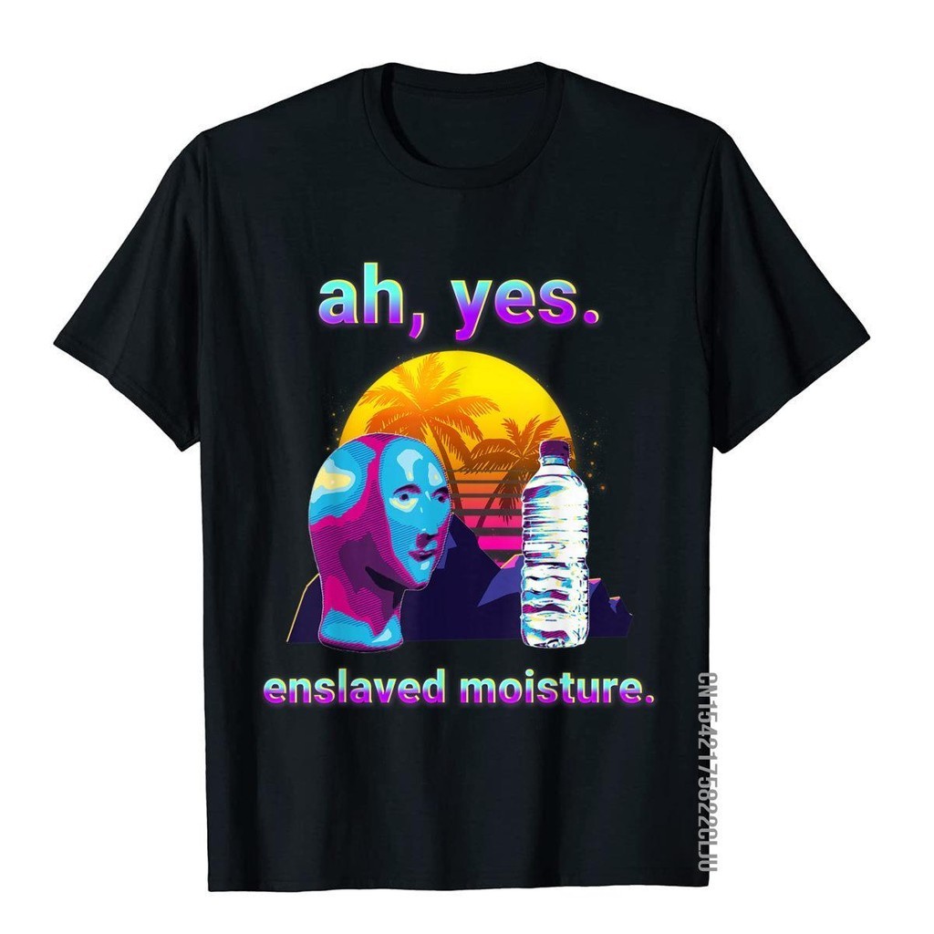 Ah Sim Esclavado Umidade Dank Meme Retro 80s Vaporwave Camiseta Estilo ...