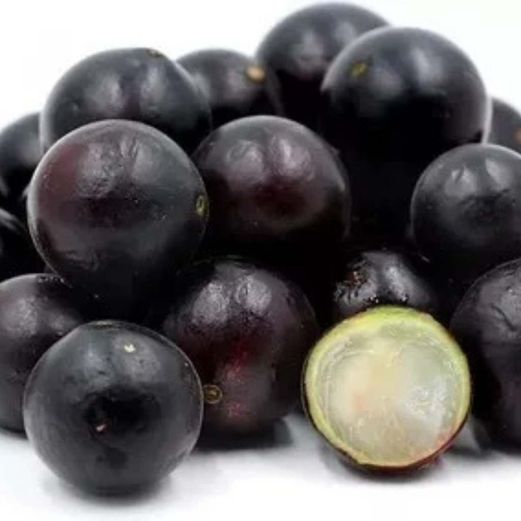 1000 Sementes De Jabuticaba Saba Híbrida P/ Plantio | Shopee Brasil