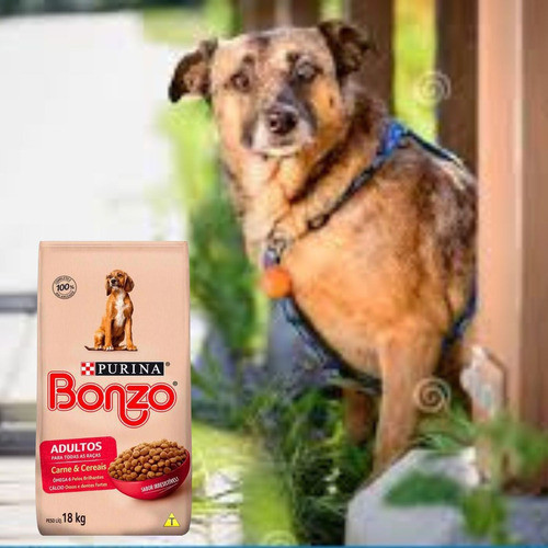 Ração Bonzo 18Kg Purina Cães Adultos Todas Raças Alimento Sabor Carne e ...