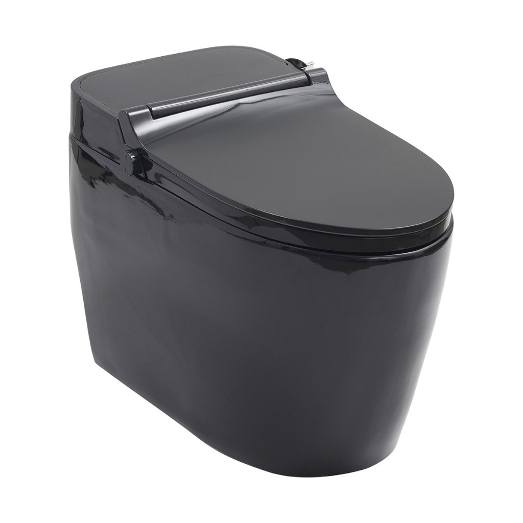 Vaso Sanitário Monobloco Caixa Acoplada Privada Bidê Celestita Pingoo ...