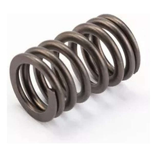 Mola Helicoidal Comando Valvula Clio Scenic 1.6 8200077656 | Shopee Brasil