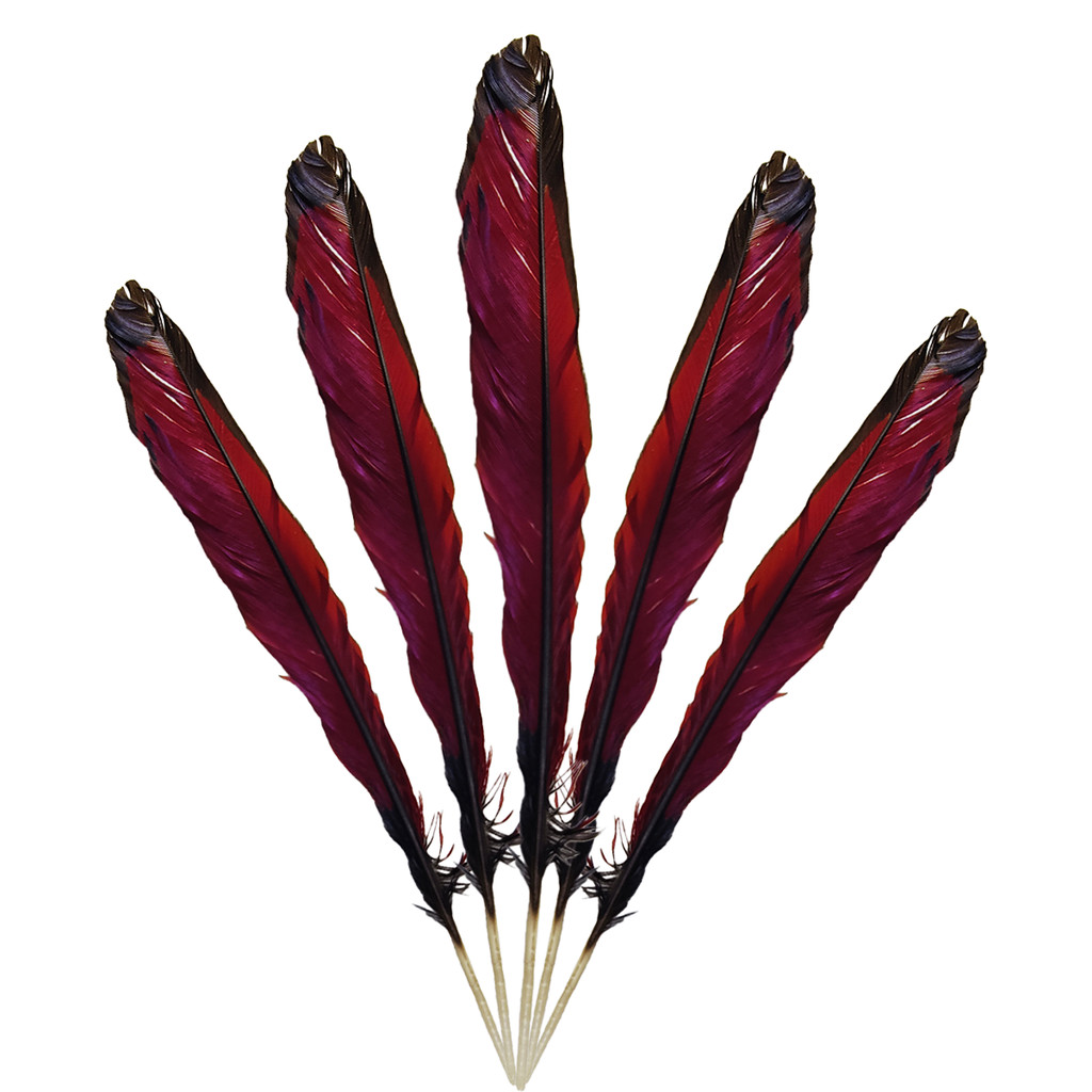 Pena de Passaro Aluko Africano Para Ritual Candomble Espiritual 1un | Shopee Brasil