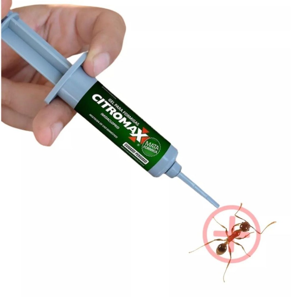 Kit 3 Gel Formicida Mata Formigas 10g Formigel Não Tóxico e Sem Cheiro ...