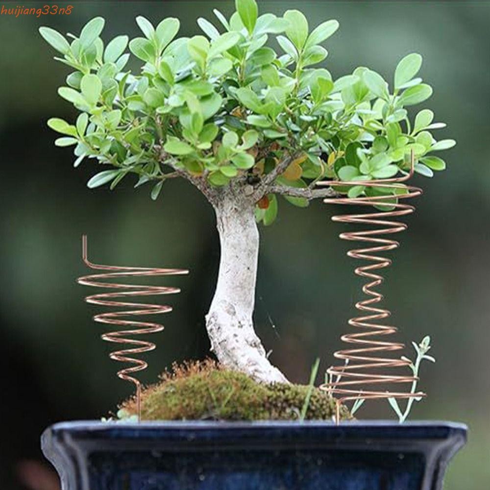 Gabarito De Enrolamento De Bobina HUIJIANG Cone Fibonacci , Antena De ...