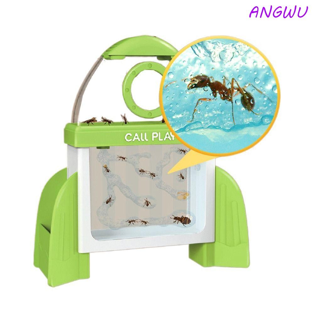 ANGWU Kit Fazenda De Formigas Ecológicas , Ciência Reutilizável Base ...