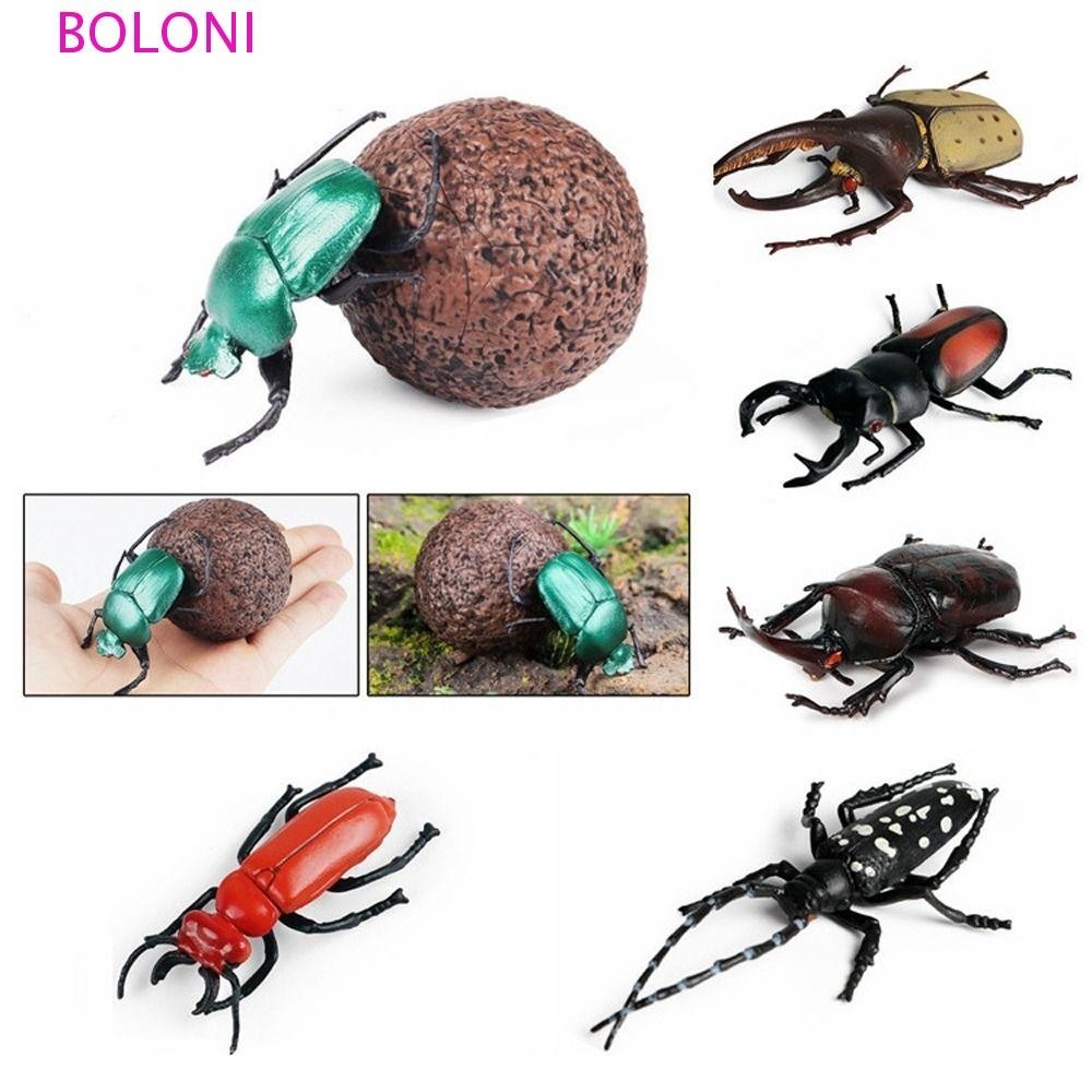 Figuras De Ação Do Carocha BOLONI , Modelo Realista De Animais De ...