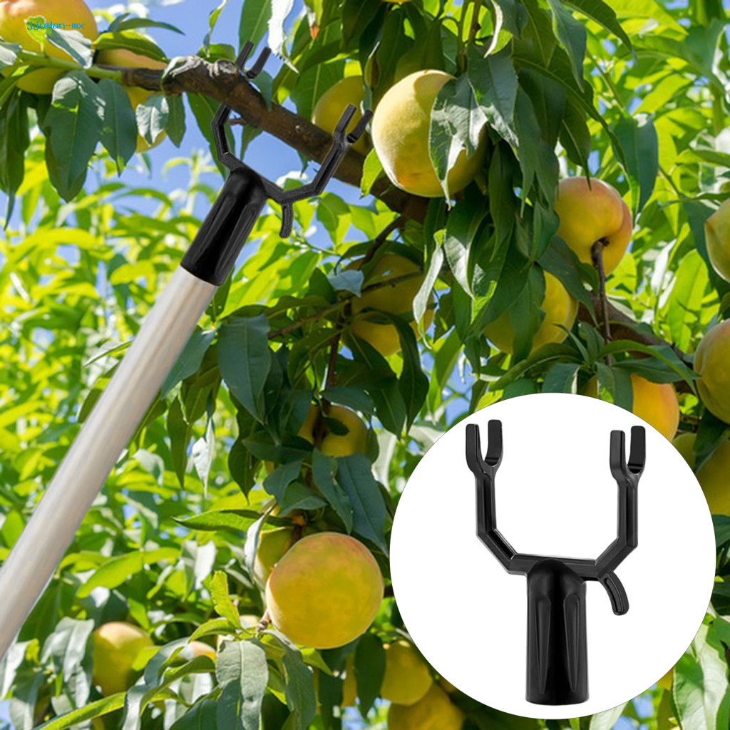 Branch Trunk Support Tree Stabilizer 8 Pcs Metal Fruit Kit for ...