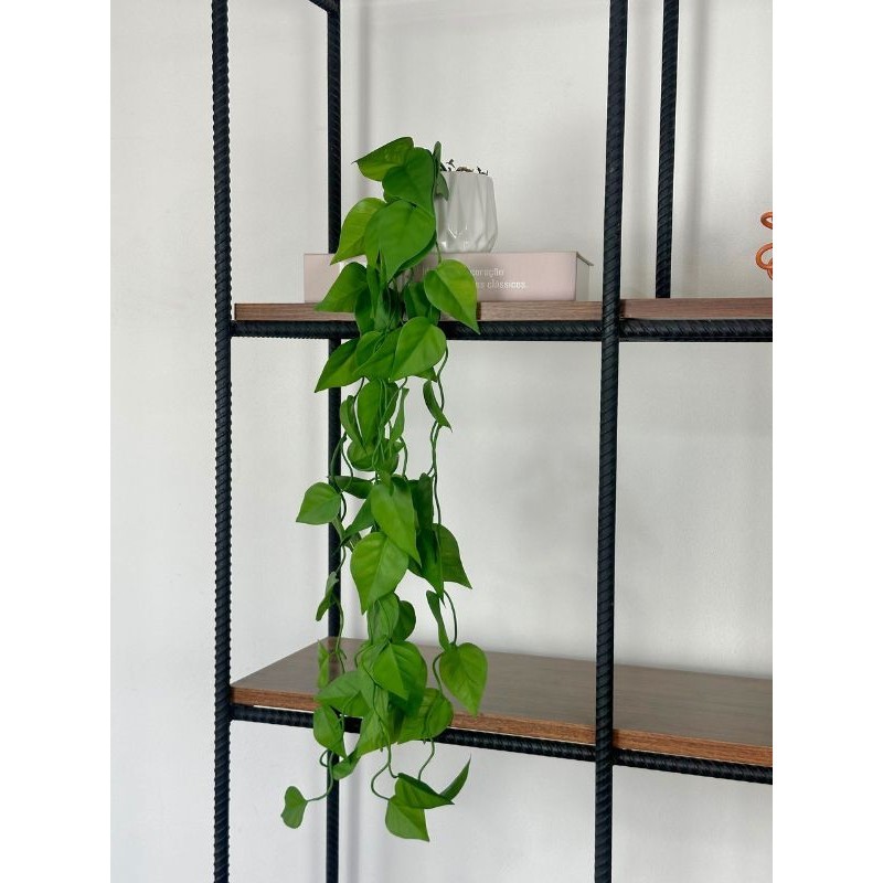 Pendente Artificial Jiboia Folha Verde 70cm Vaso Branco | Shopee Brasil