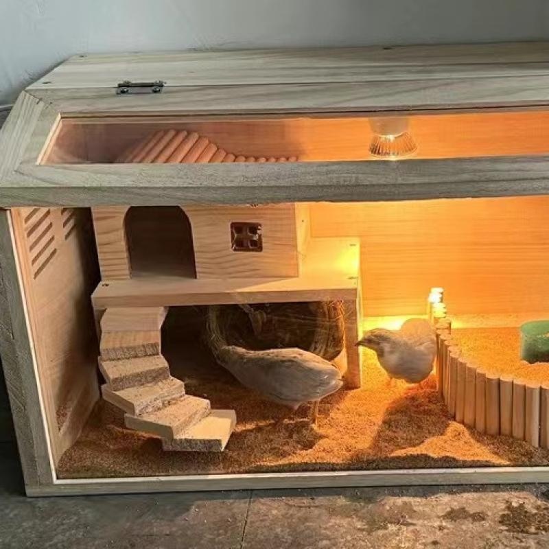 Novo produto em estoque pronto Luding Chicken Cabin Caixa de reprodução ...