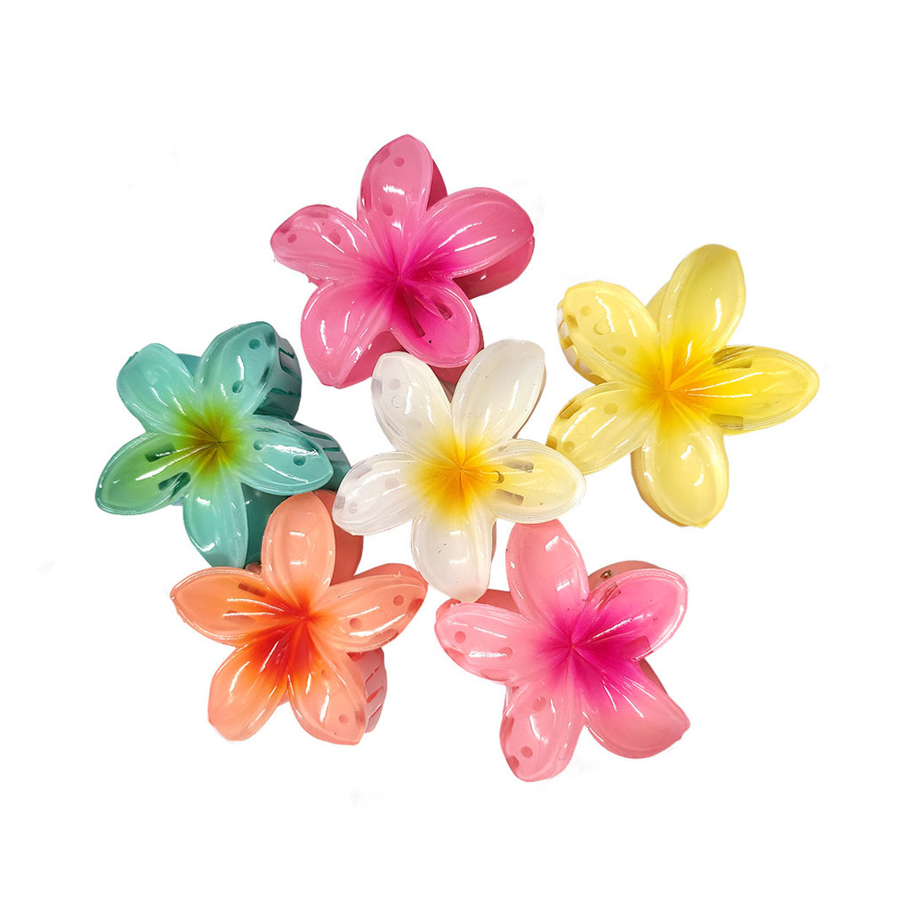 Kit 6 Piranha De Cabelo Flor Colorida De Feriado Grande | Shopee Brasil