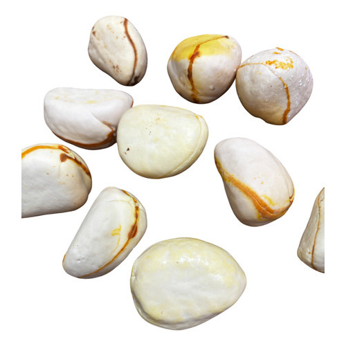 Obi Branco Nacional Molhado 10 Unidades Umbanda Candomblé | Shopee Brasil