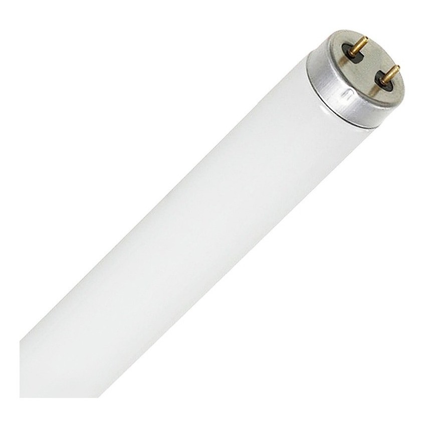 Lampada Fluorescente Tubular T8 18w 6400K Frio G13 60cm | Shopee Brasil