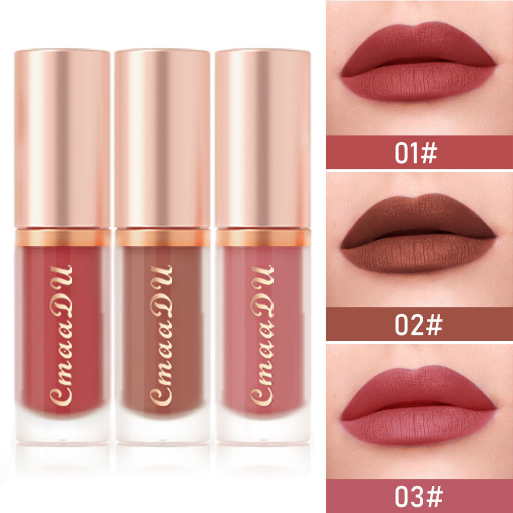 CmaaDu 12 Cores Conjunto De Brilho Labial Matte Velvet De Longa Duração ...