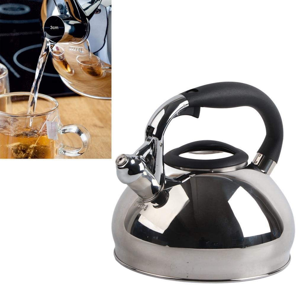 High Capacity Tea Kettle Ergonomic Handle Whistling for Office | Shopee ...