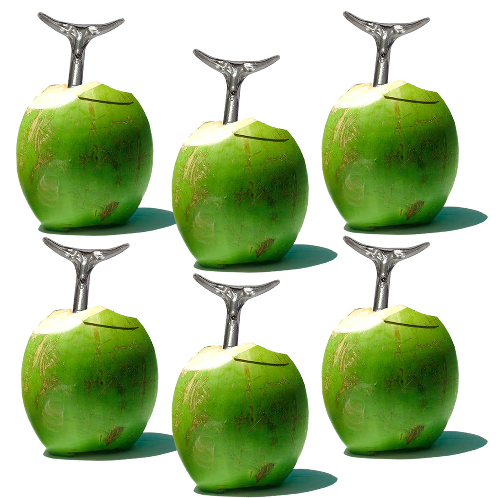 Kit 6 Furador de Coco Cara de Boi Abridor em Alumínio Batido | Shopee ...