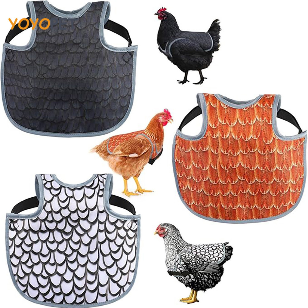 Selas De Frango Para Galinhas , Protetor Traseiro De Avental Com Alça ...
