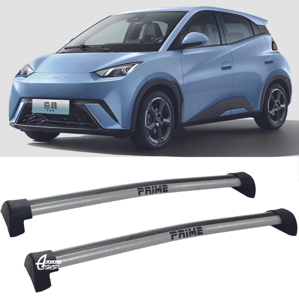 Rack Teto Aluminio Prime BYD Dolphin Mini PRATA PR327 | Shopee Brasil