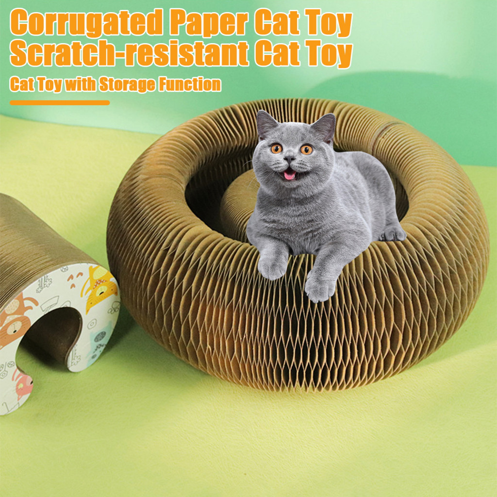 Foldable Cat Toy with Bell Ball Interactive Scratcher Track and Design ...